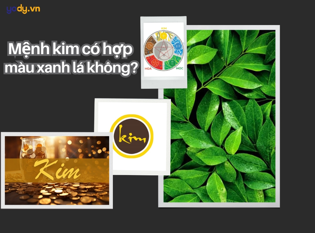 Mệnh kim có hợp màu xanh lá không? Mệnh kim hợp và kỵ màu gì? | Yody